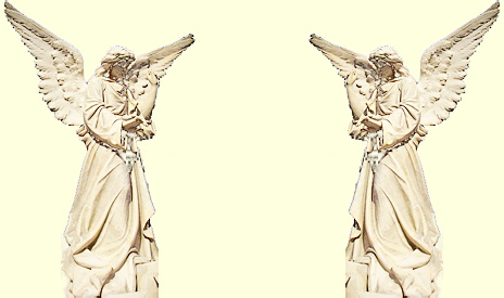 What is a Human Angel, Jessie Woods.